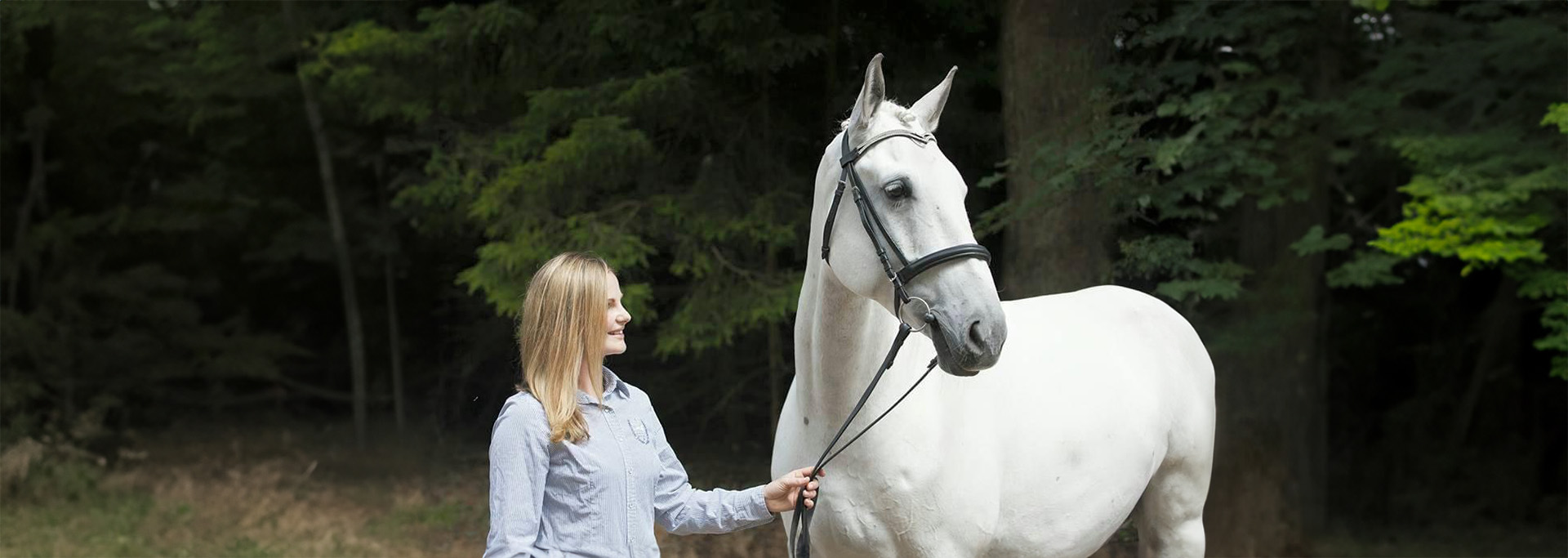 Off the horse exercises for rider flexibility, strength, balance ...