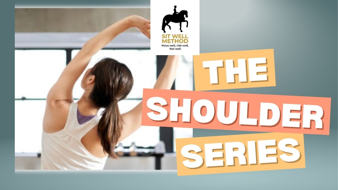 Off the horse exercises for rider flexibility, strength, balance ...